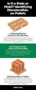 Is It a Stain or Mold? Identifying Discoloration on Pallets