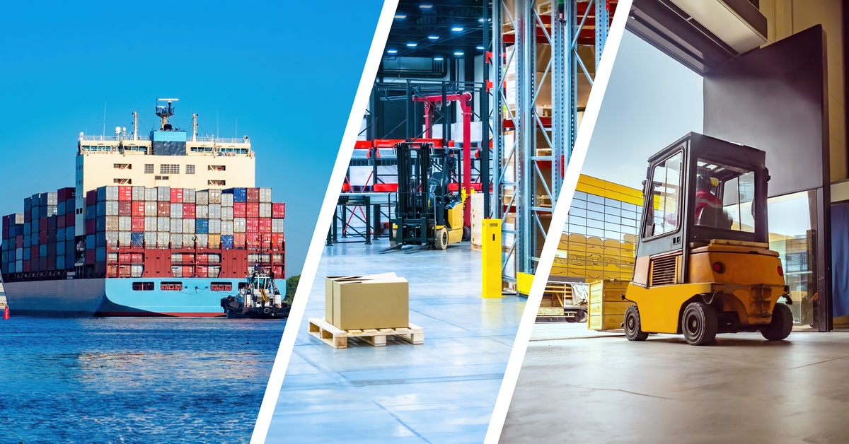 The Importance of Standardized Pallets in Global Shipping